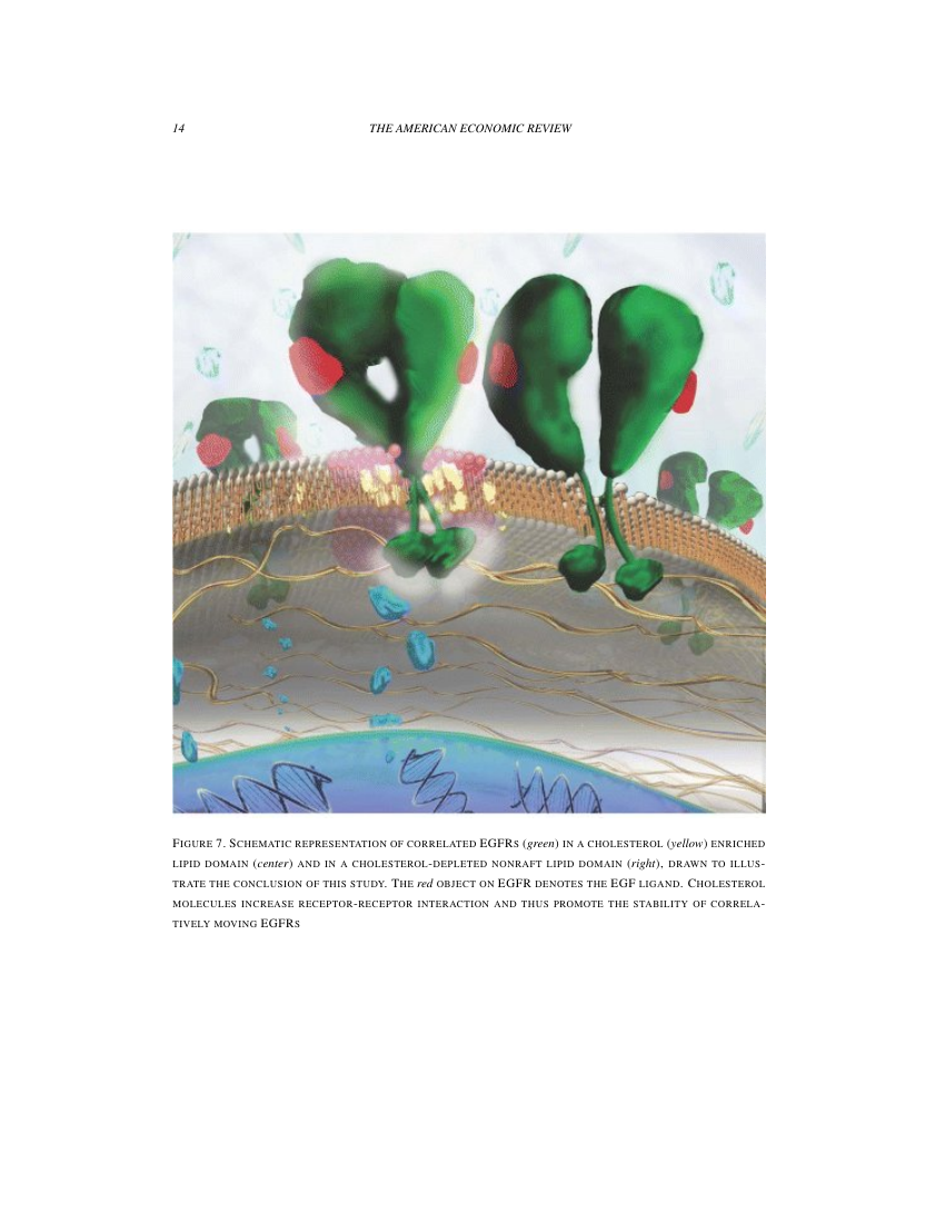 American Economic Review Template - American Economic Association