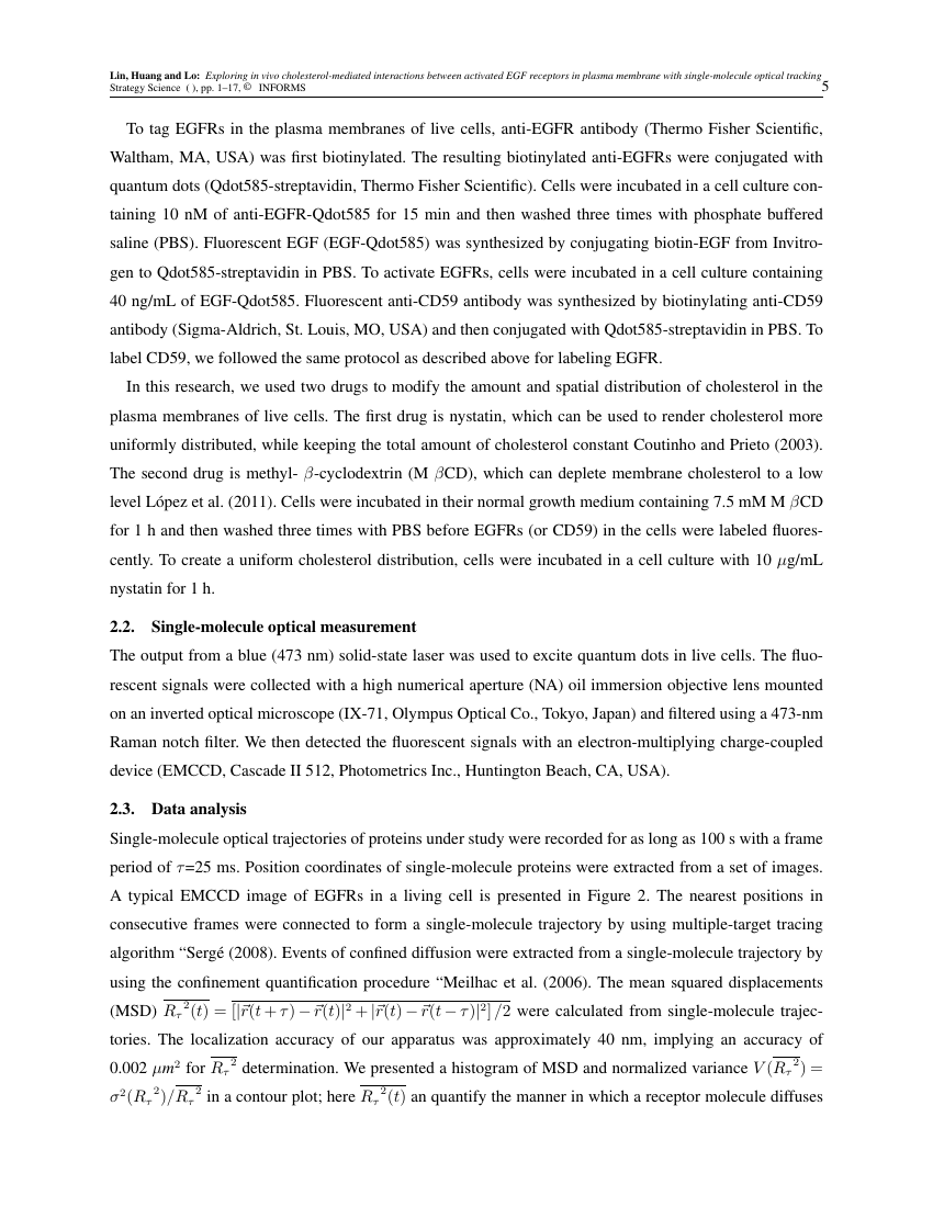 Strategy Science Template - Informs