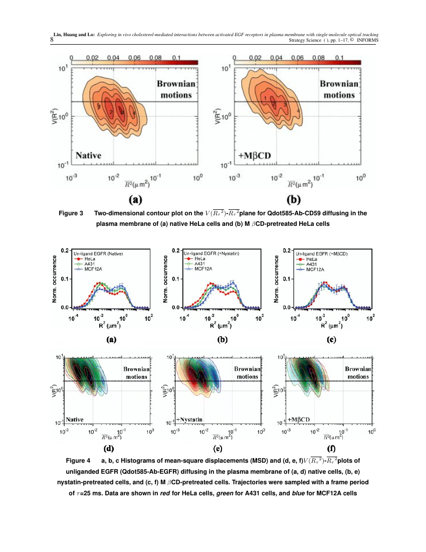 Strategy Science Template - Informs