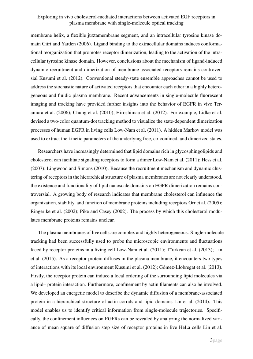 An International Journal in English Template - Pune Research World