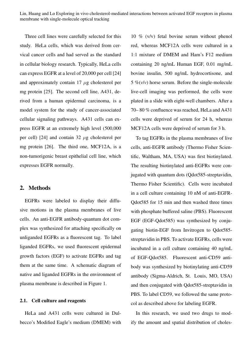 Molecular and Clinical Oncology Template - Spandidos Publications