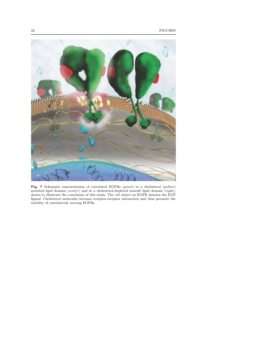 Biology and Fertility of Soils Template - Springer
