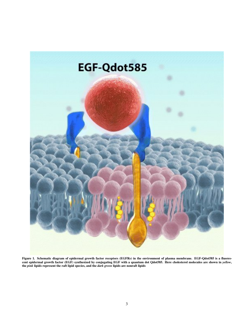 Format for CHI Conference Proceedings Template - CHI