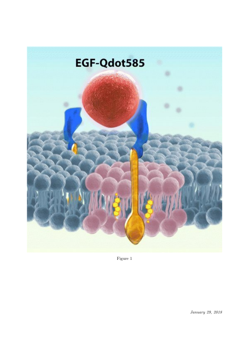 Computers & Mathematics with Applications template - For Authors