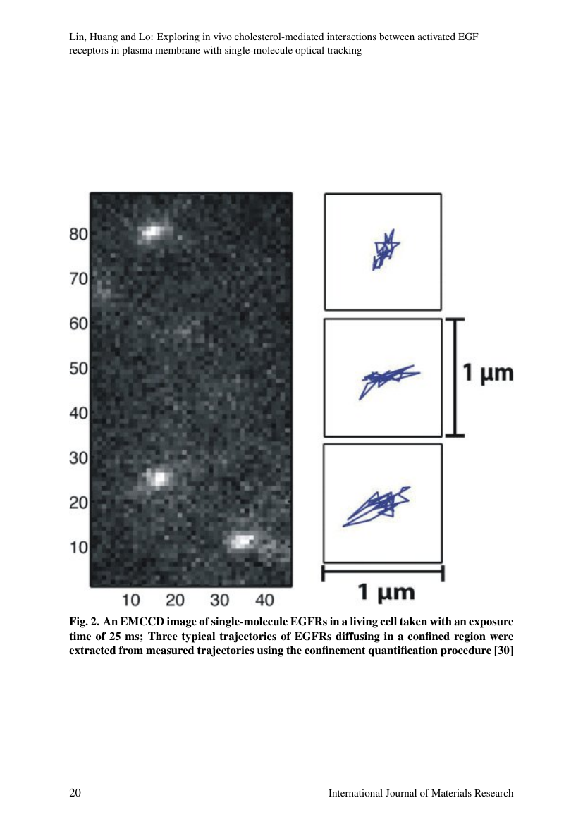Materials Testing Template - HANSER eLibrary