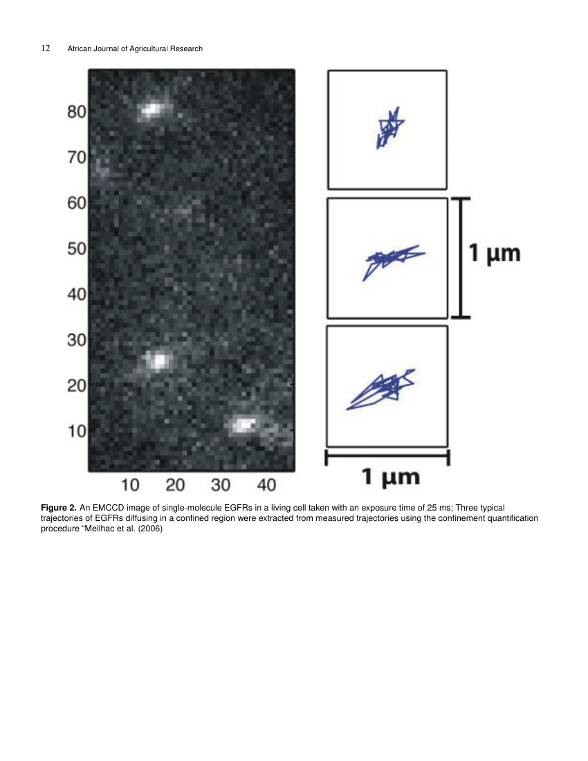 Academic Journals Template Template - Academic Journals
