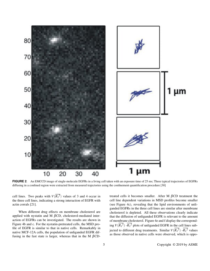 1st International Offshore Wind Technical Conference Template - The ...