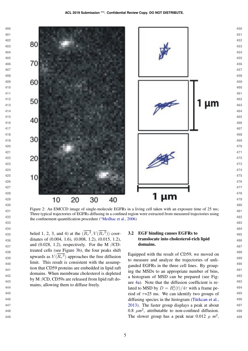 Association for Computational Linguistics (ACL) Conference Template ...