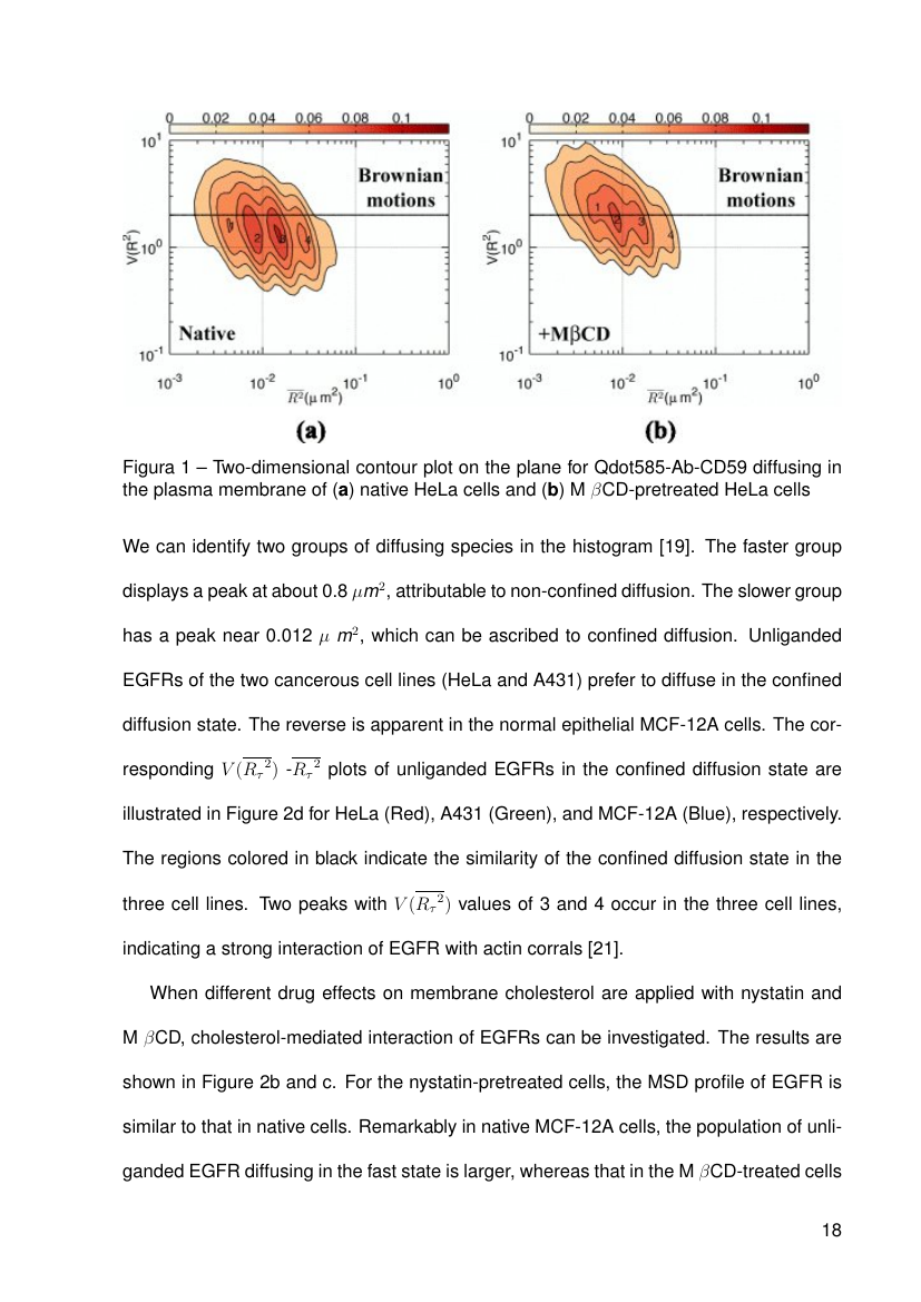 University of Brasilia (UnB) Thesis Template - University of Brasilia (UnB)