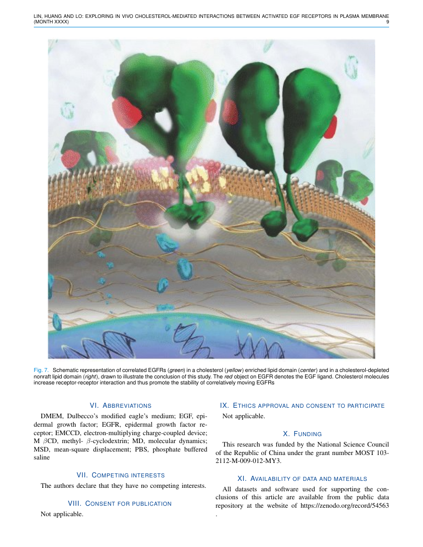 IEEE Transactions on Medical Imaging template - For Authors