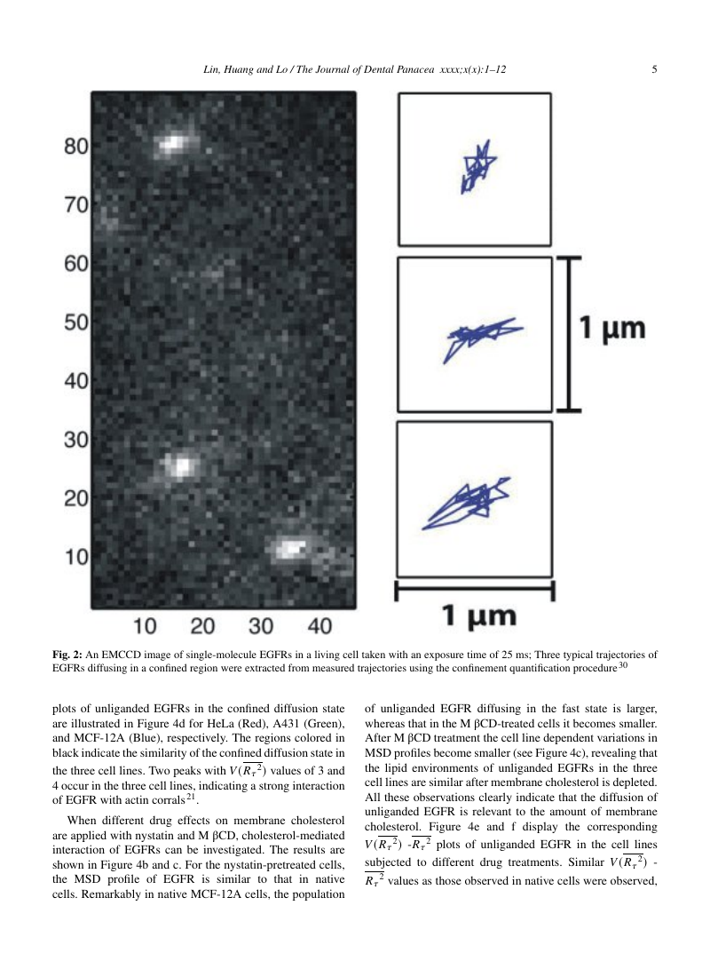 The Journal of Dental Panacea Template - Innovative Publication