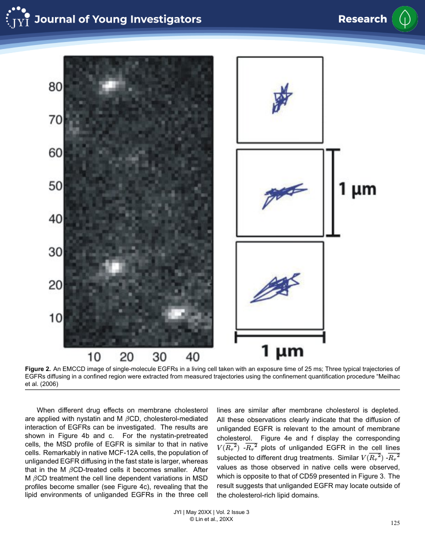 Journal of Young Investigators (JYI) Template - Journal of Young ...