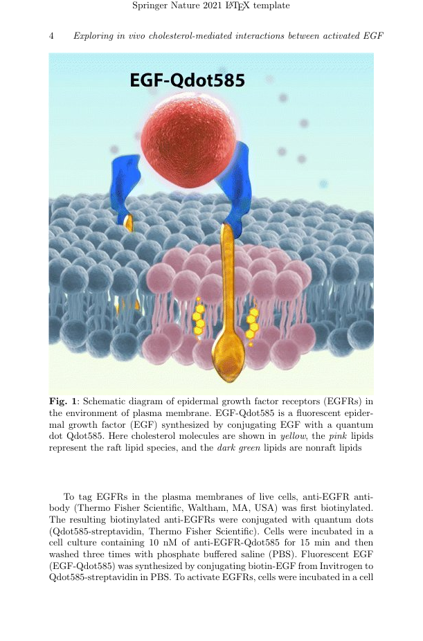 Springer Nature Standard Nature Portfolio Reference Style Template ...