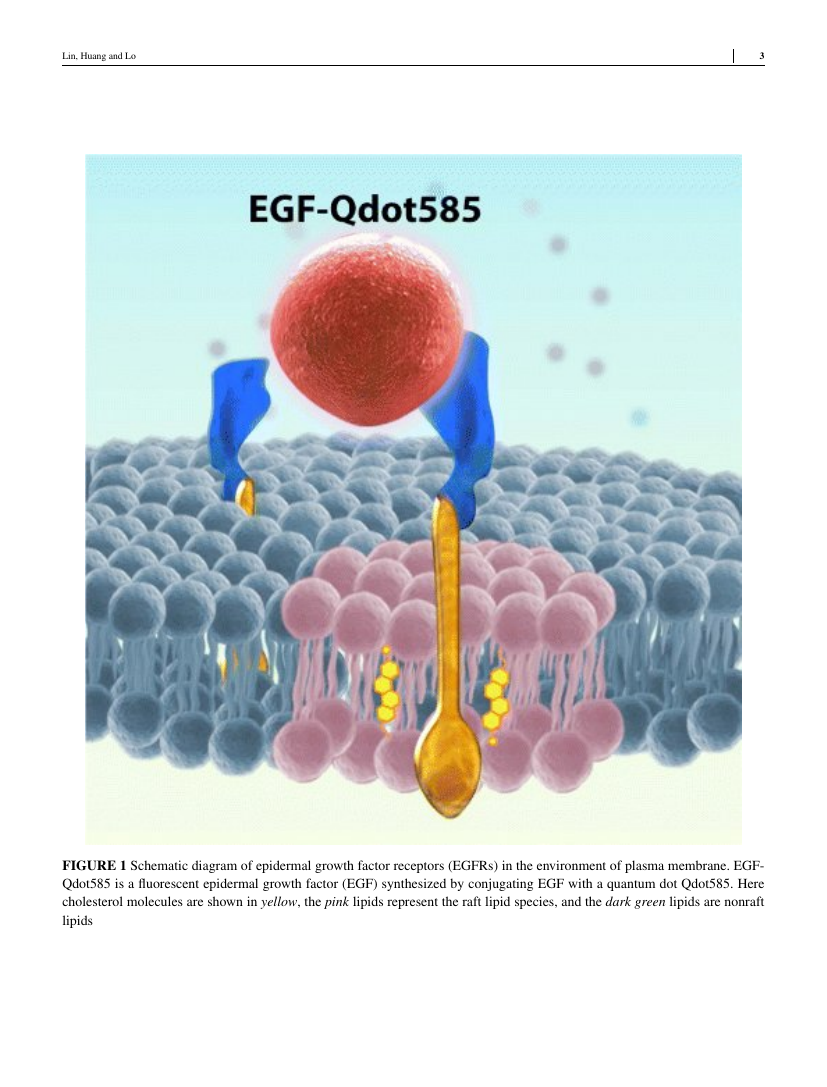 Internet Technology Letters Template - Wiley