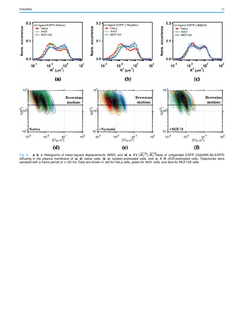 IEEE Generic Colorized Journal template - For Authors