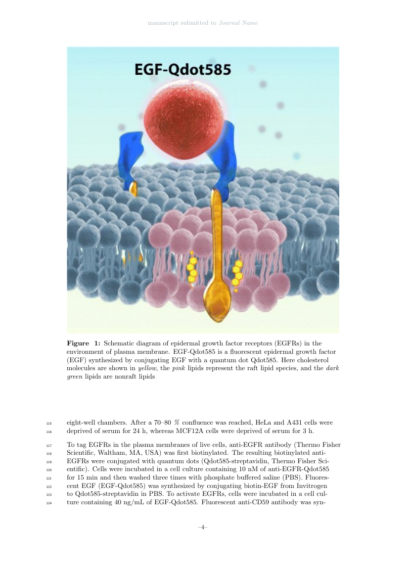 Geochemistry, Geophysics, Geosystems Template - Wiley
