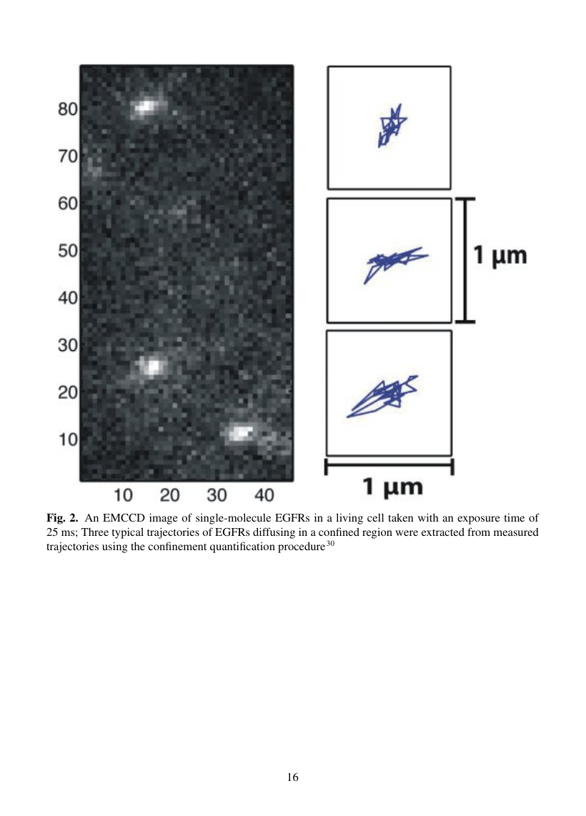 iScience template - For Authors