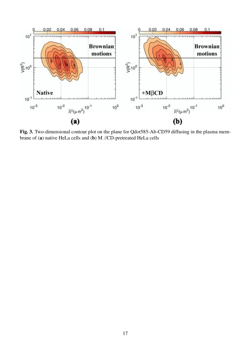 iScience template - For Authors