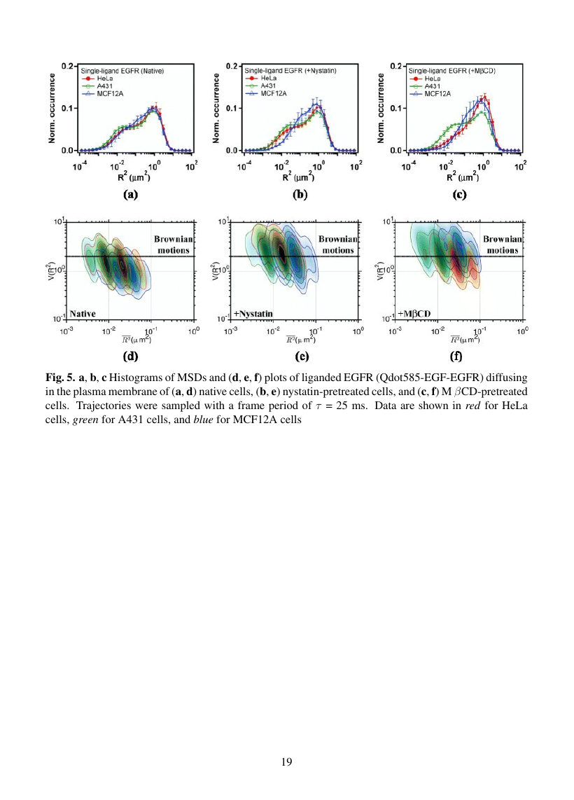 iScience template - For Authors