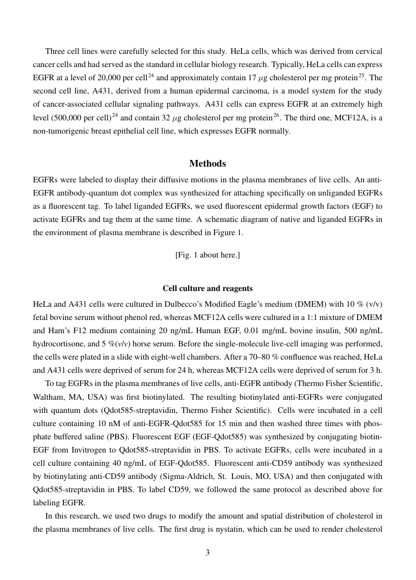 iScience template - For Authors