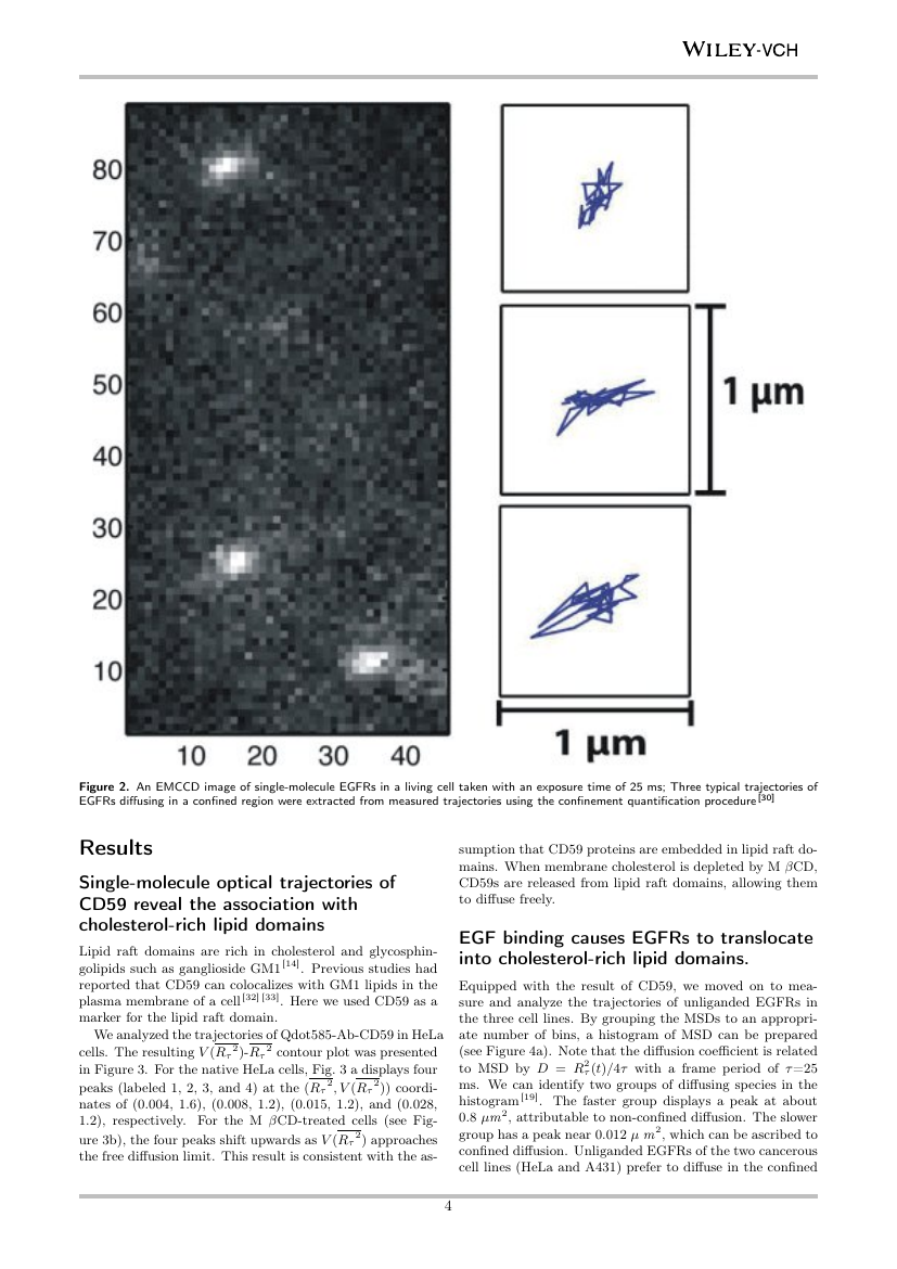 Angewandte Chemie International Edition Template - Wiley