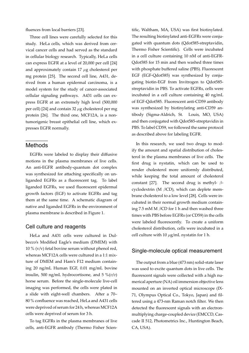 INFORMATION TECHNOLOGY AND CONTROL Template - Kaunas University of ...