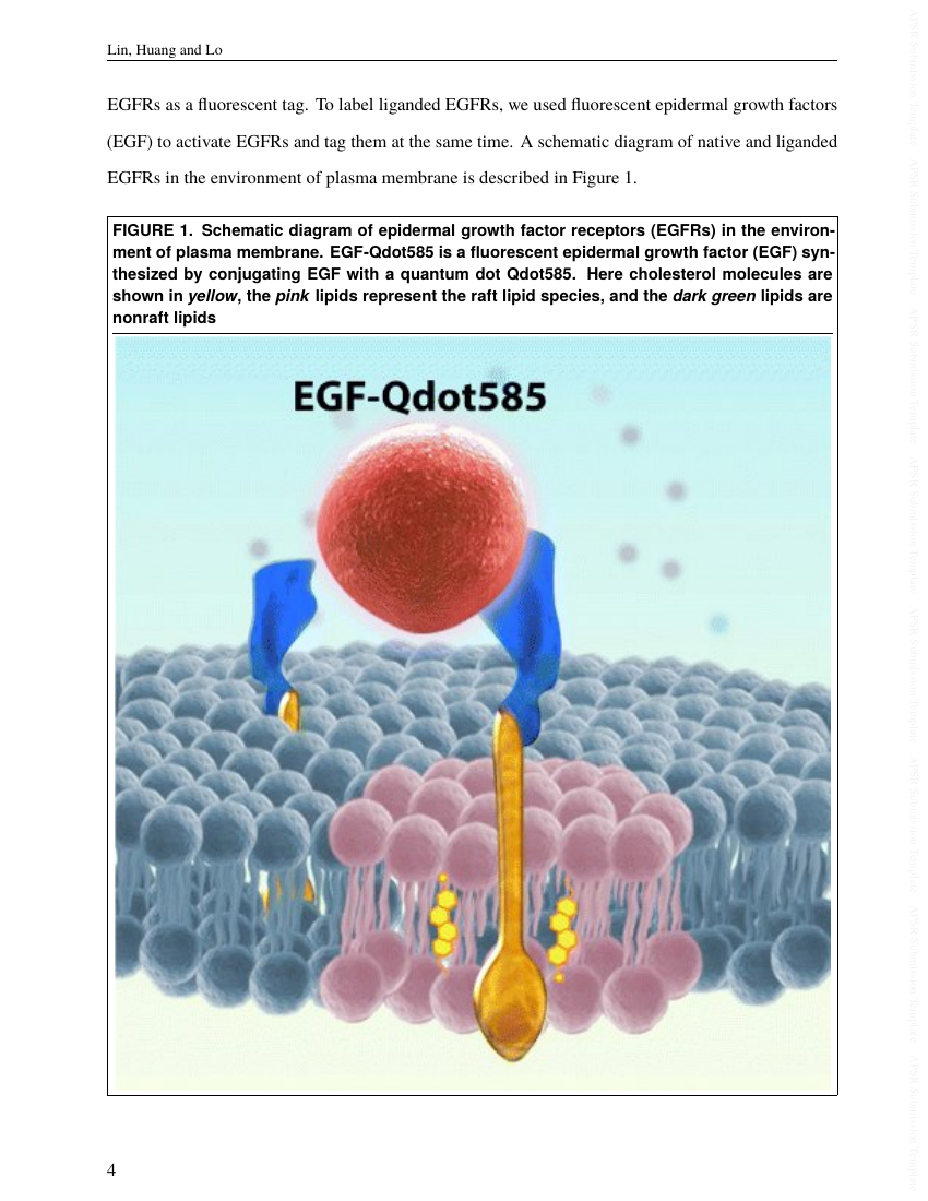 American Political Science Review Template - Cambridge University Press