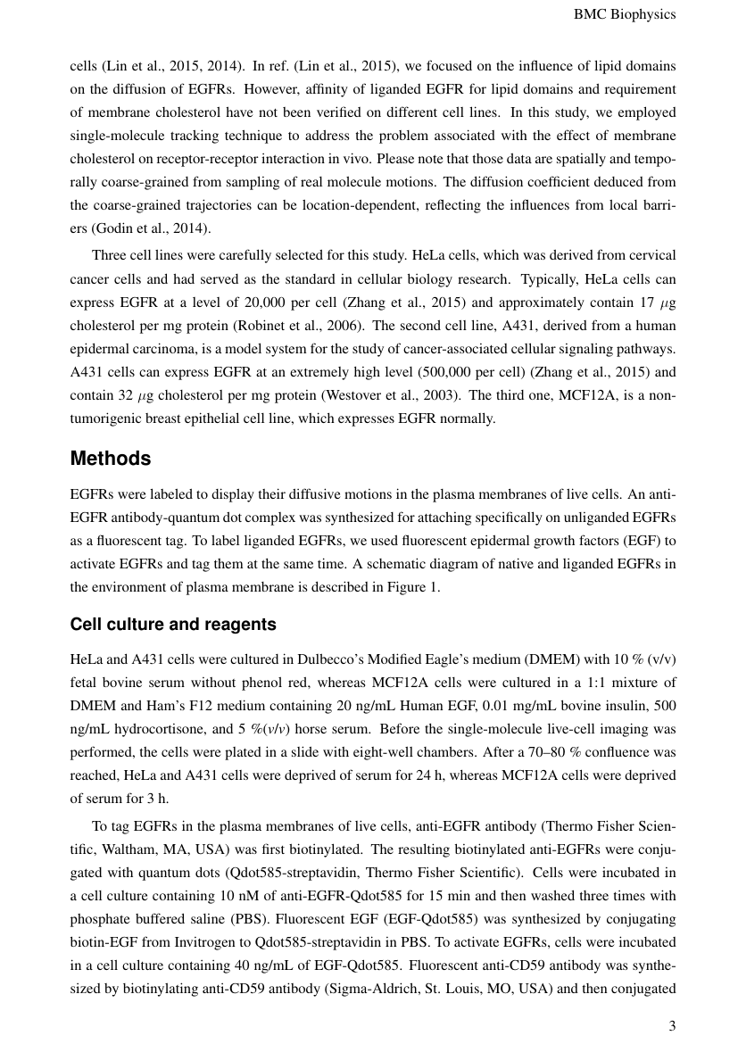 Format for IGI Global Template - IGI GLOBAL