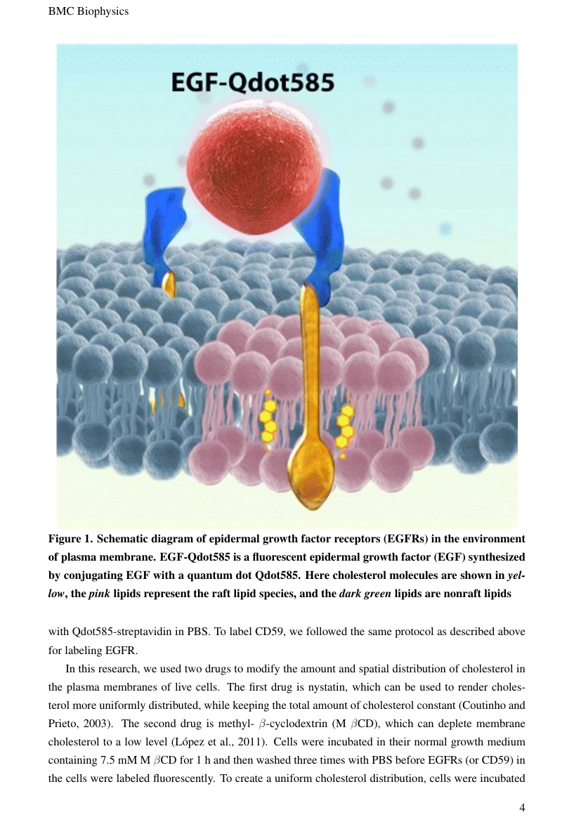 Format for IGI Global Template - IGI GLOBAL
