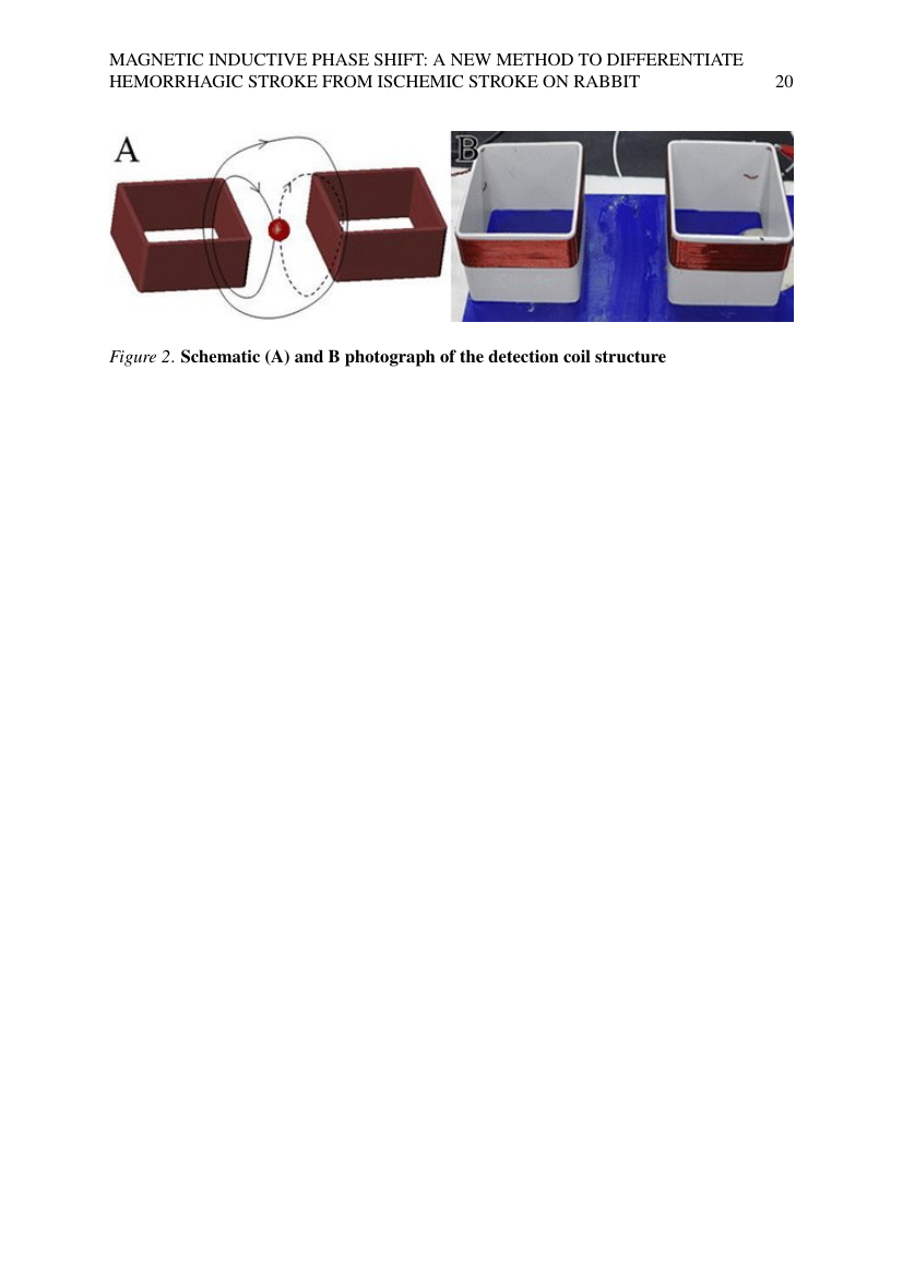 Psychology - Thesis/Dissertation Template Template - USC