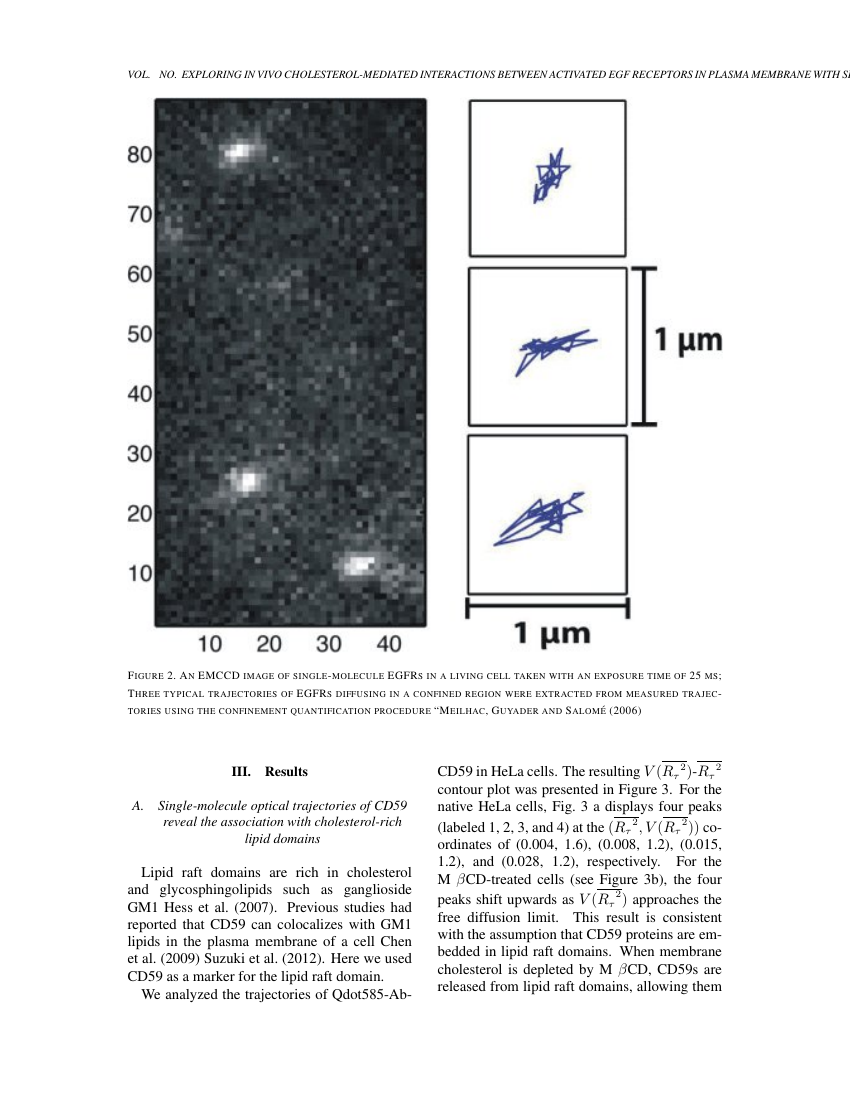 AEA Papers and Proceedings Template - American Economic Association