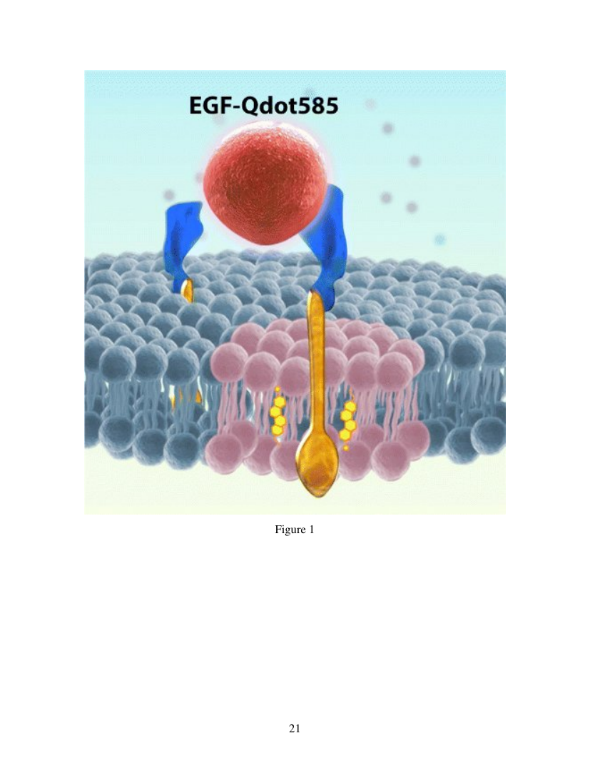Animal Production Science Template - CSIRO Publishing