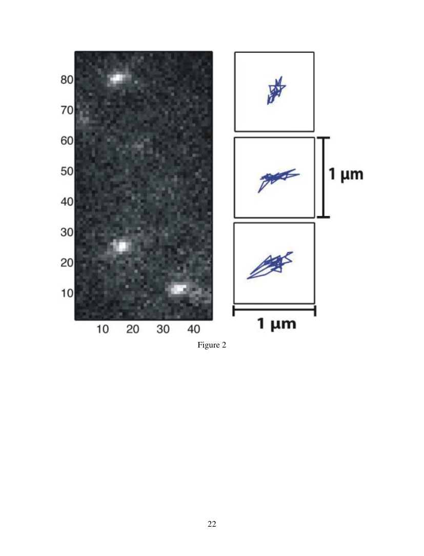 Animal Production Science Template - CSIRO Publishing