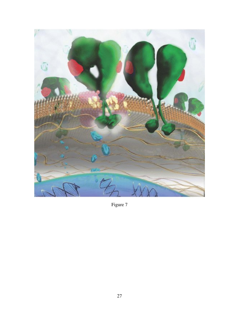 Animal Production Science Template - CSIRO Publishing