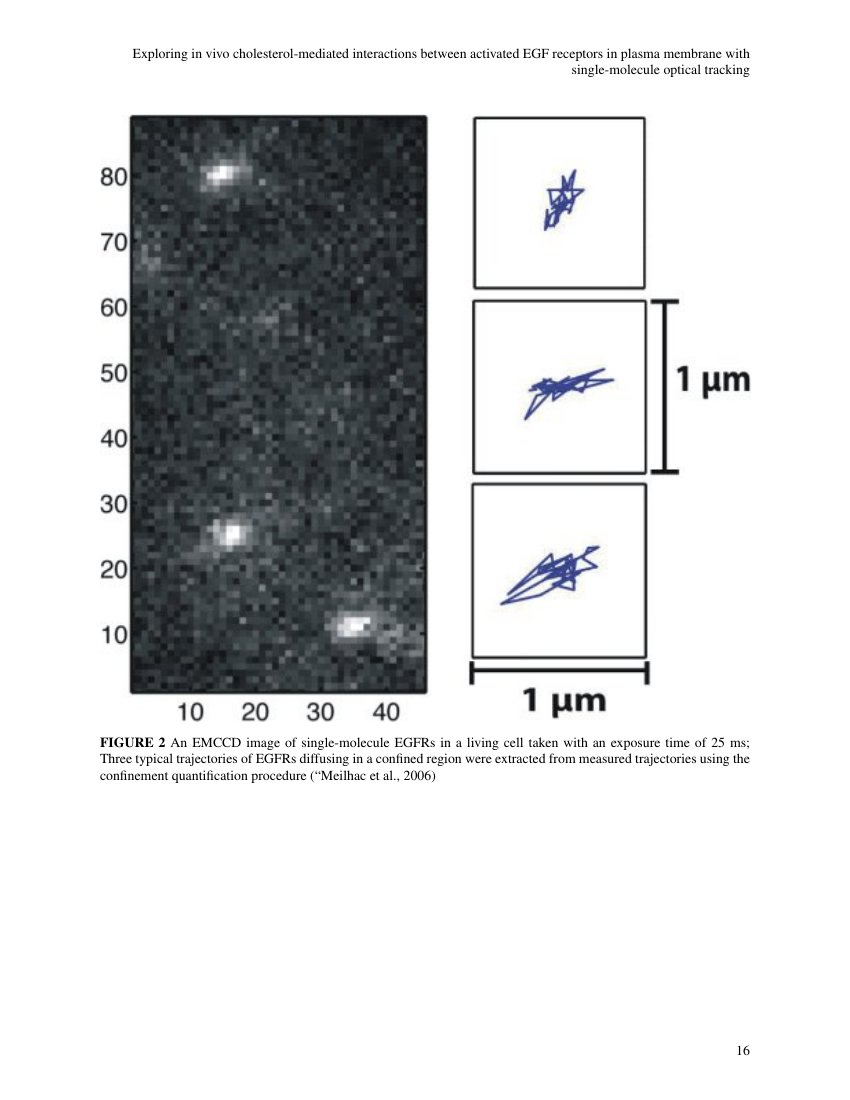 The EMBO Journal Template - EMBO Press
