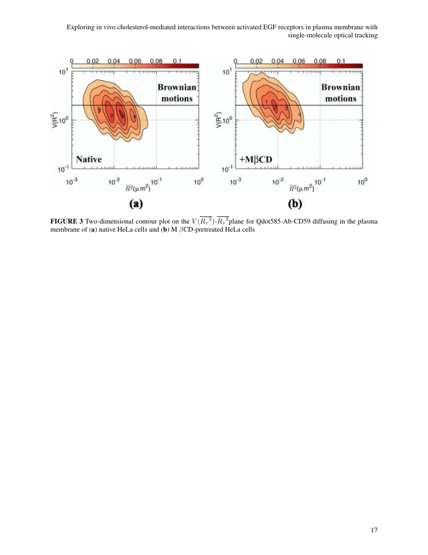 The EMBO Journal Template - EMBO Press
