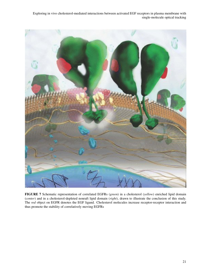 The EMBO Journal Template - EMBO Press