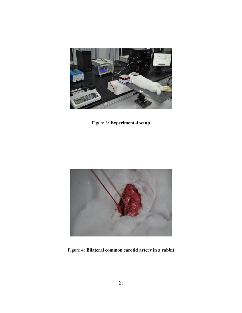 Nature Electronics Template Nature nature-electronics-template-nature