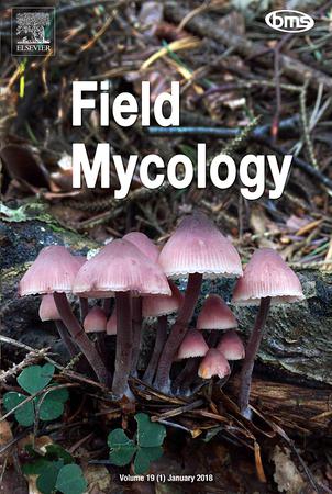 Field Mycology template - For Authors
