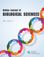 Science Publications - Templates | SciSpace