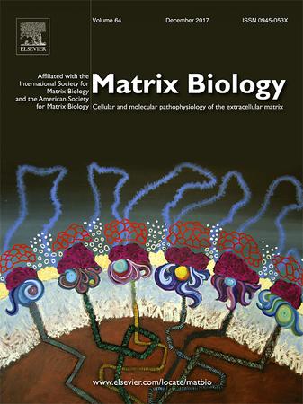 Matrix Biology template - For Authors