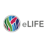 Template for eLIFE articles Template - eLIFE