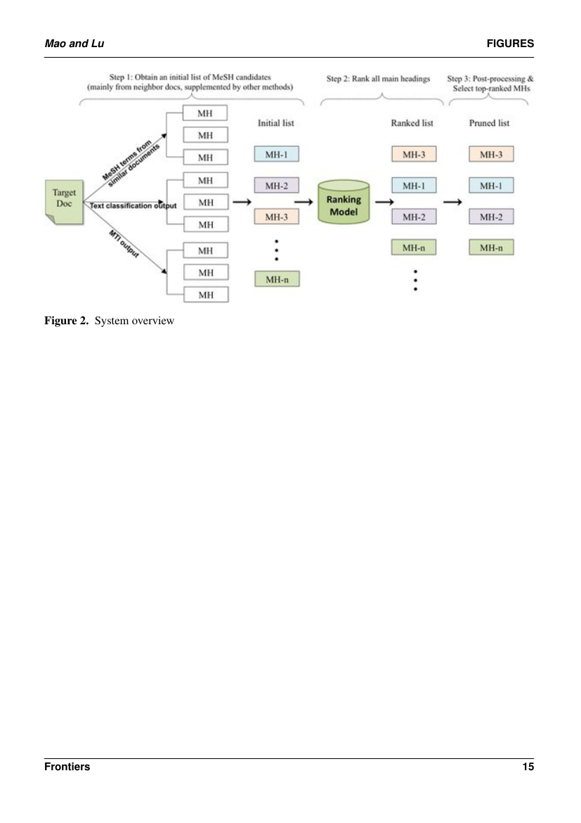 Frontiers In Oncology