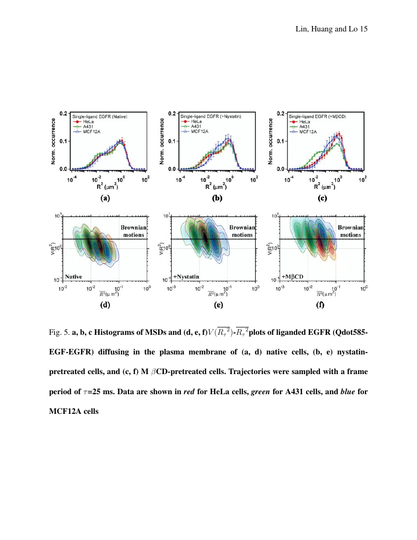 All Departments (Assignment/Report) Template - UM