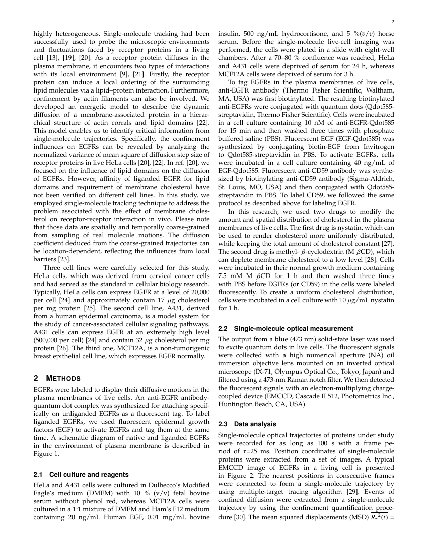 IEEE Transactions on Computational Social Systems template - For Authors