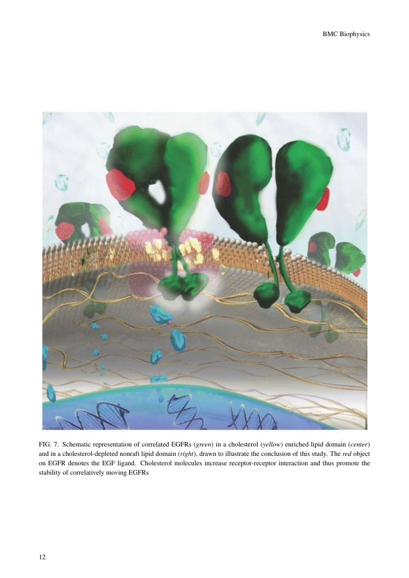 Frontiers in Pathology and Genetics Template - Science and Engineering ...